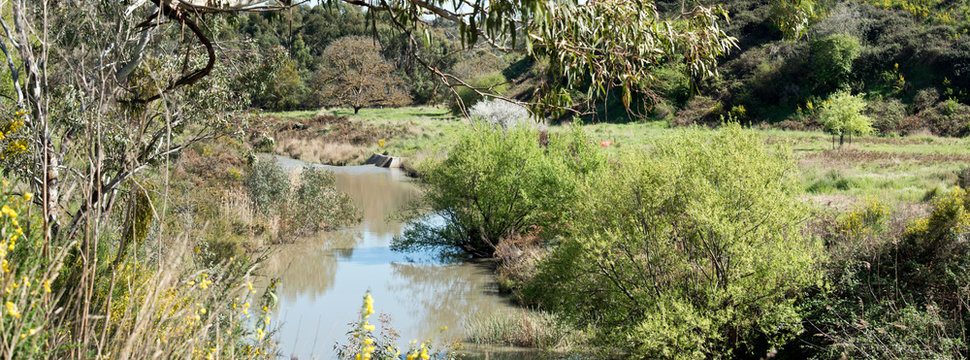 Idealic Images – Browse 298 Stock Photos, Vectors, and Video | Adobe Stock