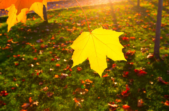 รูปภาพWarmly – เลือกดูภาพถ่ายสต็อก เวกเตอร์ และวิดีโอ107,431 | Adobe Stock