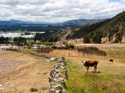 "Baca Bilder – Durchsuchen 1,981 Archivfotos, Vektorgrafiken und Videos ...