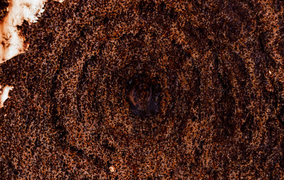 Rostlaube - Images et vidéos libres de droits | Adobe Stock