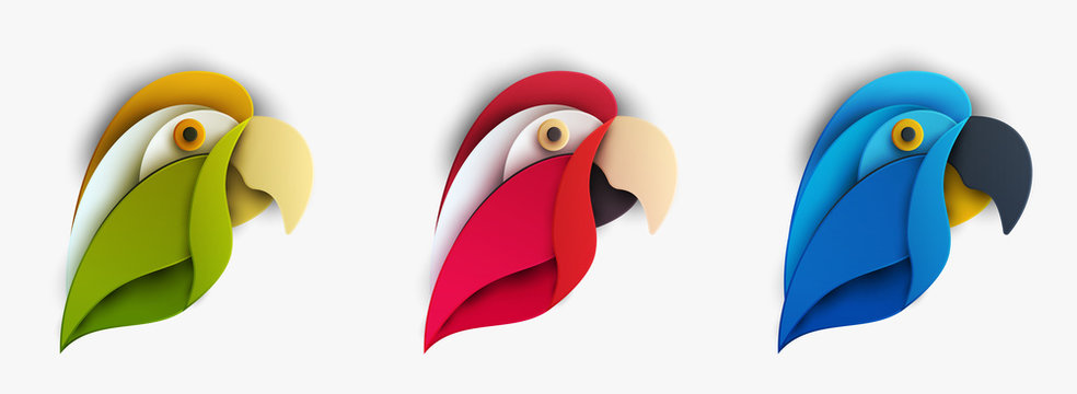 Parrot Images – Browse 65,815 Stock Photos, Vectors, and Video | Adobe ...