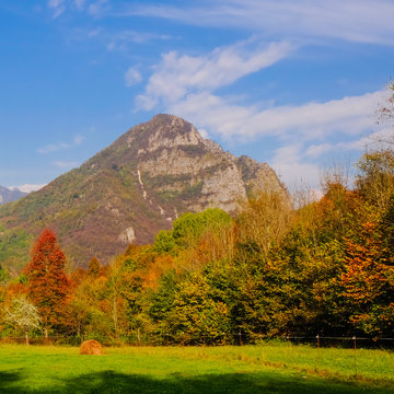 Posina Images – Browse 38 Stock Photos, Vectors, and Video | Adobe Stock