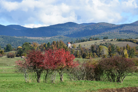 Kalec Images – Browse 26 Stock Photos, Vectors, and Video | Adobe Stock