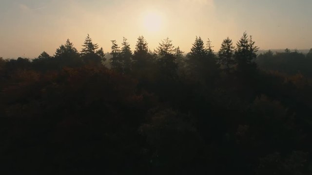 Muckleheads Images – Parcourir 1,284 le catalogue de photos, vecteurs ...