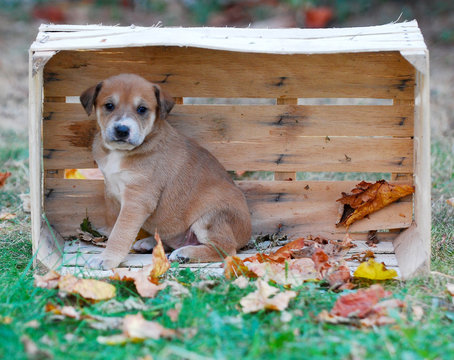 Shable Images – Browse 55 Stock Photos, Vectors, and Video | Adobe Stock