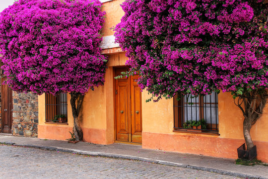 「Colonia」の画像 - 11,472 件の Stock 写真、ベクターおよびビデオ | Adobe Stock