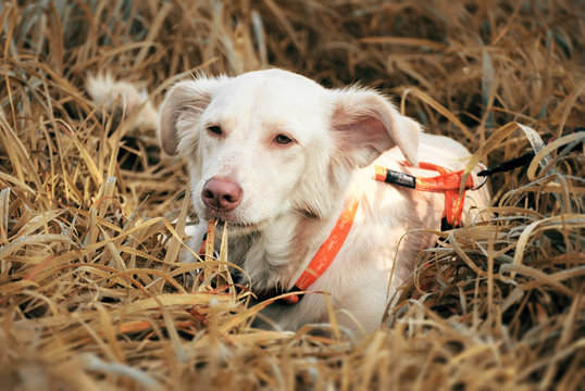 รูปภาพBisogni – เลือกดูภาพถ่ายสต็อก เวกเตอร์ และวิดีโอ114 | Adobe Stock