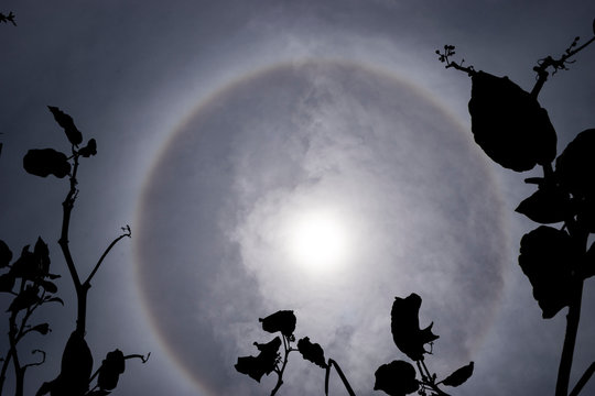 "Solar Halo" Bilder – Durchsuchen 432 Archivfotos, Vektorgrafiken und ...