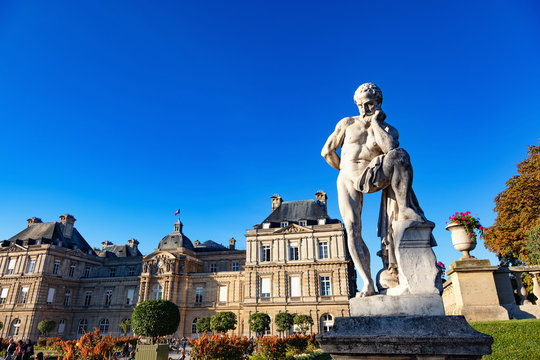 Denkerpose Bilder – Durchsuchen 147 Archivfotos, Vektorgrafiken und ...