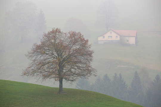 Teufe Bilder – Durchsuchen 30 Archivfotos, Vektorgrafiken und Videos ...