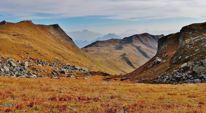 「Grasnarbe」の写真素材 | 454件の無料イラスト画像 | Adobe Stock