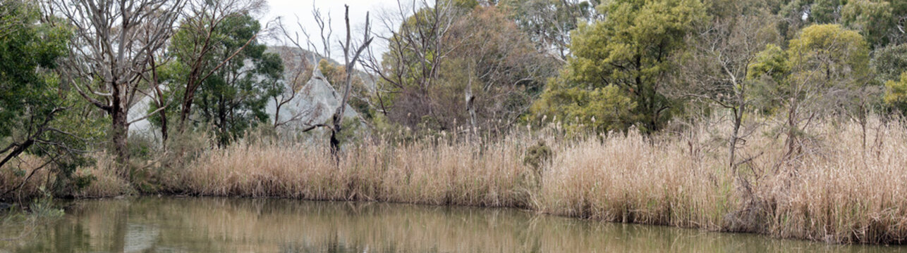 Idealic Images – Browse 298 Stock Photos, Vectors, and Video | Adobe Stock