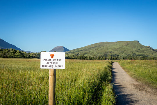 รูปภาพPastura – เลือกดูภาพถ่ายสต็อก เวกเตอร์ และวิดีโอ927 | Adobe Stock