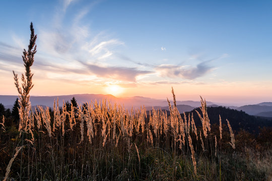 「Nordschwarzwald」の写真素材 | 3,829件の無料イラスト画像 | Adobe Stock