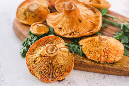 Imágenes de Rovello: descubre bancos de fotos, ilustraciones, vectores ...