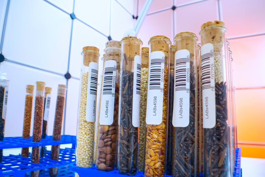 "Tissue Bank" Images – Browse 1 Stock Photos, Vectors, and Video ...