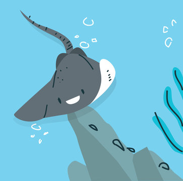 Mantarraya Images – Browse 83 Stock Photos, Vectors, and Video | Adobe ...