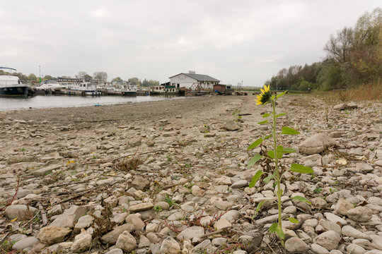 Rheinpegel bilder – Bläddra bland 157 stockfoton, vektorer och videor ...