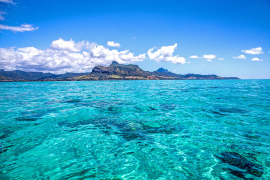 Tropicaux Images – Browse 3,127 Stock Photos, Vectors, and Video ...