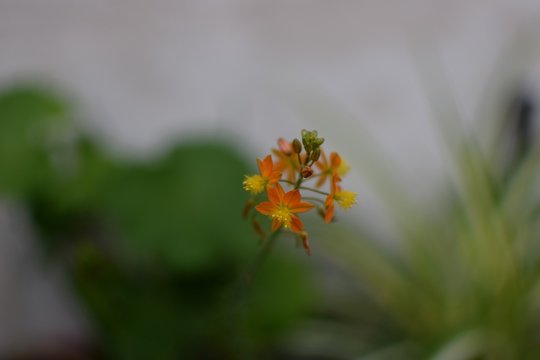 Over-Achiever Images – Browse 520 Stock Photos, Vectors, and Video ...