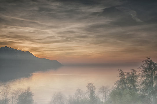 Imágenes de Genfer: descubre bancos de fotos, ilustraciones, vectores y ...