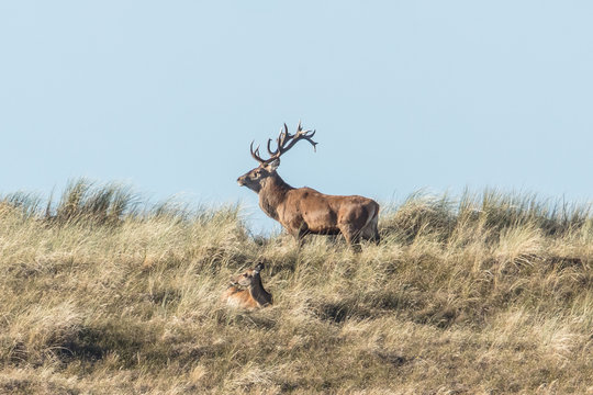 Bildabteilung Images – Browse 605 Stock Photos, Vectors, and Video ...