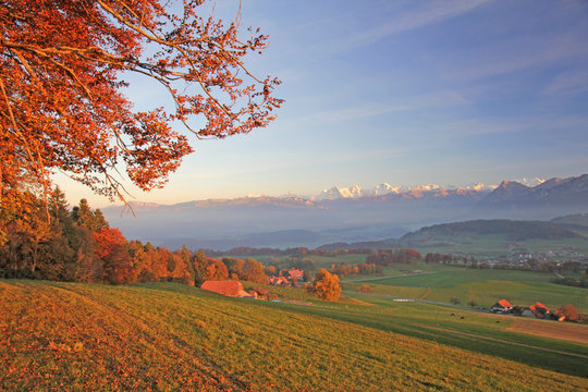รูปภาพBergbauer – เลือกดูภาพถ่ายสต็อก เวกเตอร์ และวิดีโอ6,267 | Adobe Stock