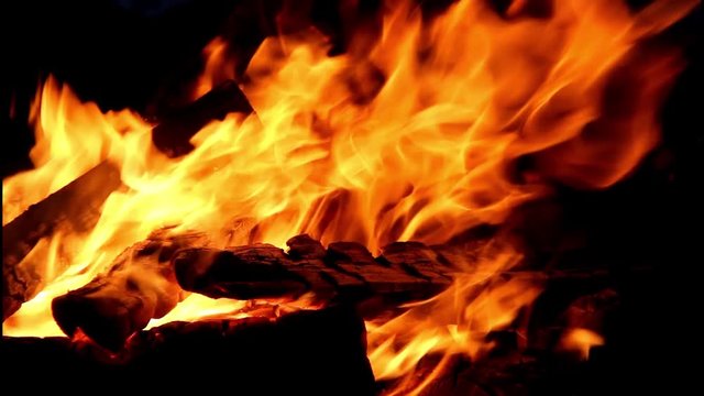 รูปภาพFlamboyer – เลือกดูภาพถ่ายสต็อก เวกเตอร์ และวิดีโอ19 | Adobe Stock