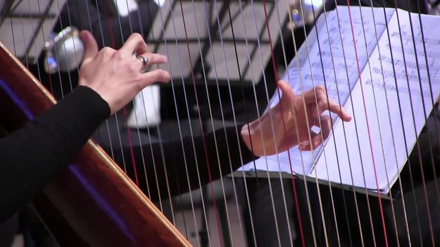 Harp Video Footage – Browse 1,716 HD Stock Video and Footage | Adobe Stock