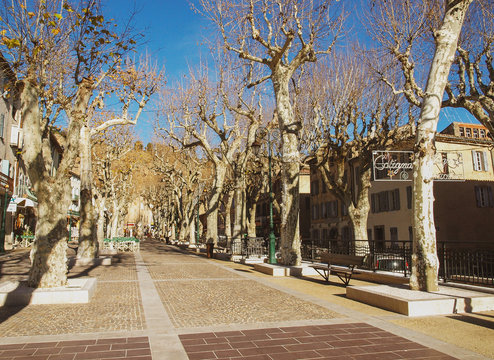 「Verdaille」の写真素材 | 40件の無料イラスト画像 | Adobe Stock