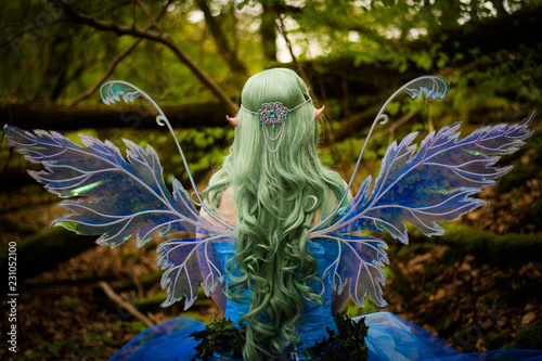"Rear view of woman dressed in fairy costume" Stock photo and royalty ...