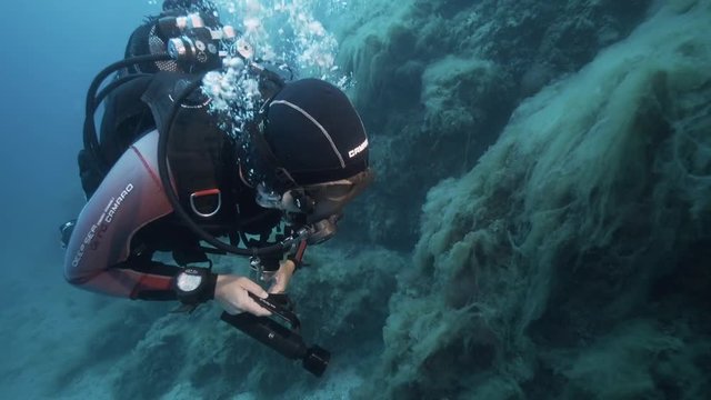 Taucher Images – Browse 10,203 Stock Photos, Vectors, and Video | Adobe ...