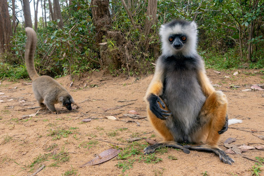 Simpona Images – Browse 47 Stock Photos, Vectors, and Video | Adobe Stock