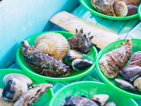 外房 Images – Browse 841 Stock Photos, Vectors, and Video | Adobe Stock