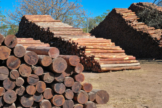 Acopio Images – Parcourir 60 le catalogue de photos, vecteurs et vidéos ...