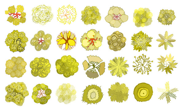 Tree Plan Drawings Images – Browse 20,937 Stock Photos, Vectors, and ...