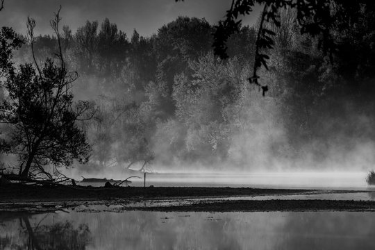รูปภาพBrume – เลือกดูภาพถ่ายสต็อก เวกเตอร์ และวิดีโอ41,048 | Adobe Stock