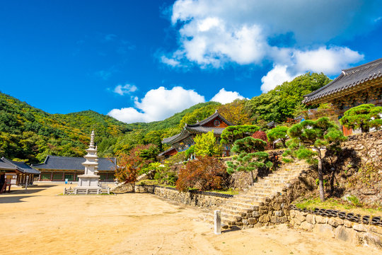 รูปภาพYecheon – เลือกดูภาพถ่ายสต็อก เวกเตอร์ และวิดีโอ80 | Adobe Stock