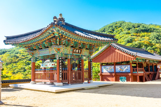 Yecheon Images – Browse 79 Stock Photos, Vectors, and Video | Adobe Stock