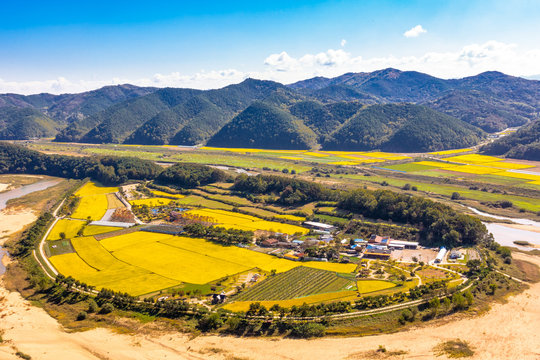「Yecheon」の写真素材 | 89件の無料イラスト画像 | Adobe Stock