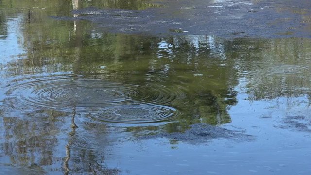 Tar Pit Images – Browse 563 Stock Photos, Vectors, and Video | Adobe Stock