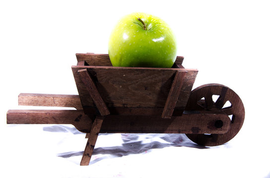 รูปภาพFalower – เลือกดูภาพถ่ายสต็อก เวกเตอร์ และวิดีโอ25 | Adobe Stock