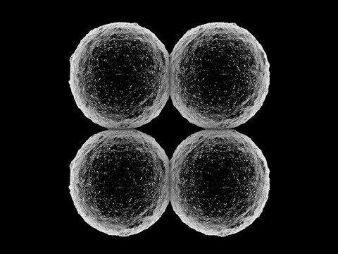 Tetraden Images – Browse 3 Stock Photos, Vectors, and Video | Adobe Stock