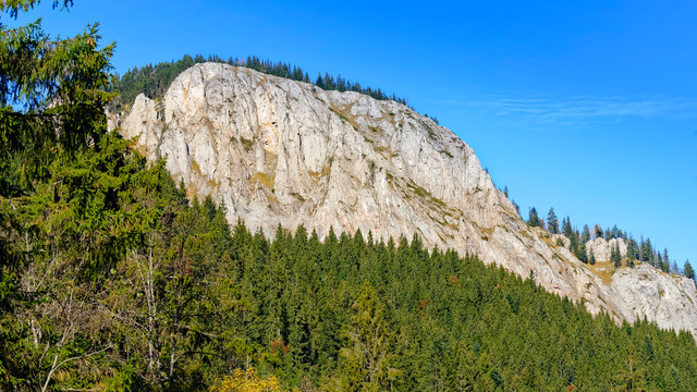 รูปภาพRosu – เลือกดูภาพถ่ายสต็อก เวกเตอร์ และวิดีโอ831 | Adobe Stock