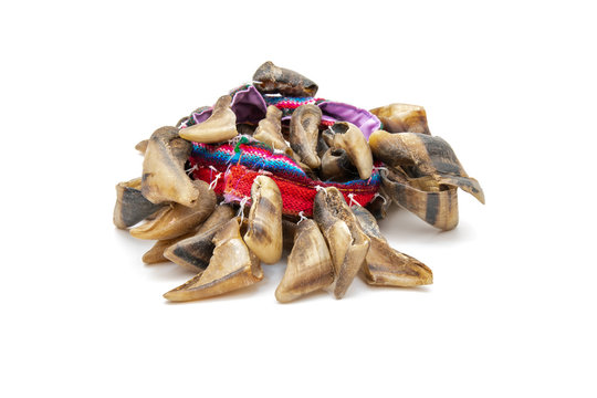 「Chajchas」の写真素材 | 4件の無料イラスト画像 | Adobe Stock