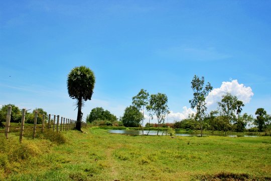 Pame Images – Browse 12 Stock Photos, Vectors, and Video | Adobe Stock