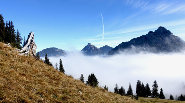 Neblig bilder – Bläddra bland 7,132 stockfoton, vektorer och videor ...