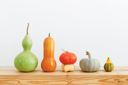 Upo Images – Parcourir 31,848 le catalogue de photos, vecteurs et ...