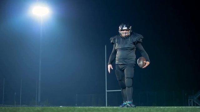 Halfback bilder – Bläddra bland 501 stockfoton, vektorer och videor ...