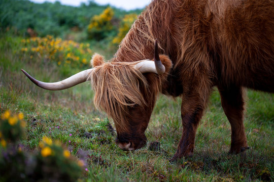 รูปภาพAstas – เลือกดูภาพถ่ายสต็อก เวกเตอร์ และวิดีโอ2,057 | Adobe Stock